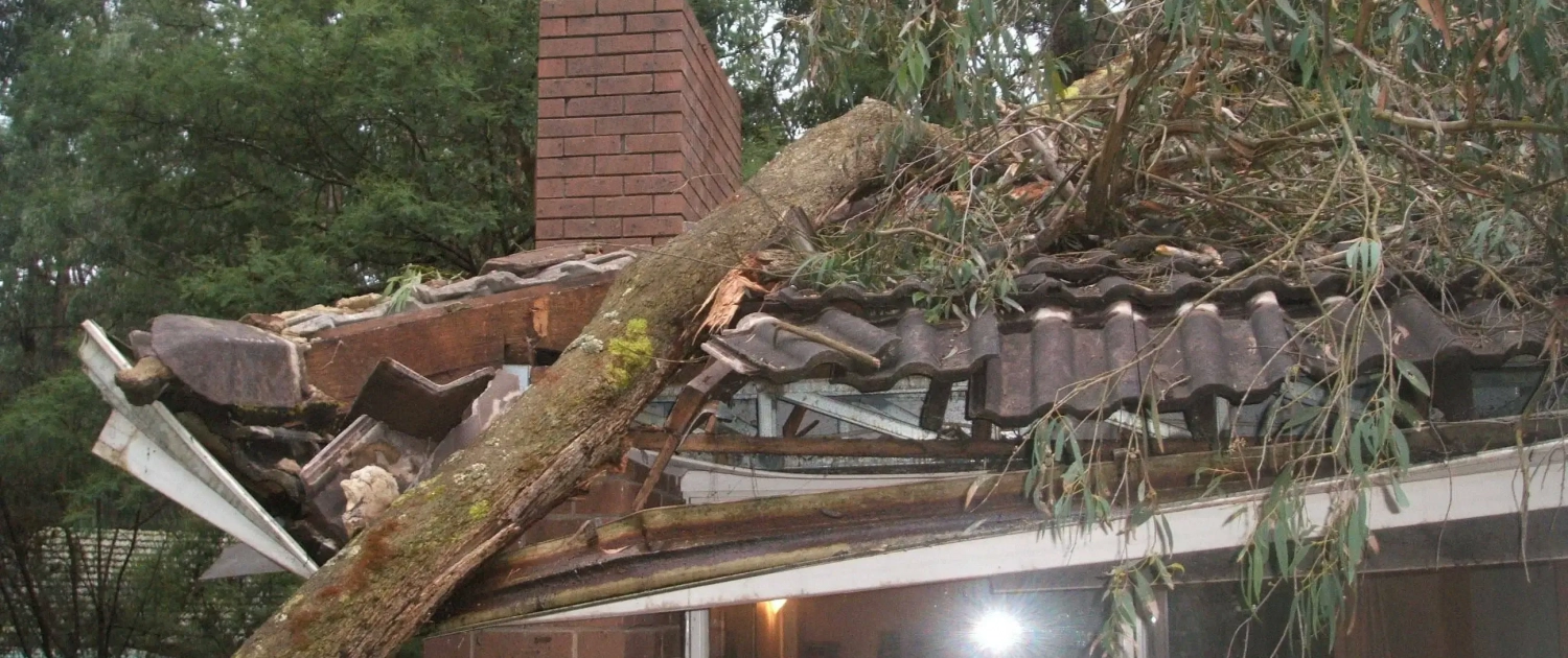 Insurance Repair Specialist Commercial and Domestic - Campis